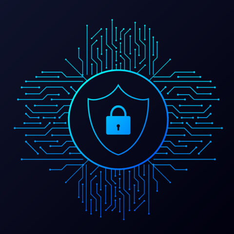 What We Do | CheckCheck